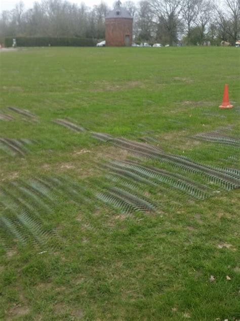 How To Stop Grass Being Damaged Mesh4