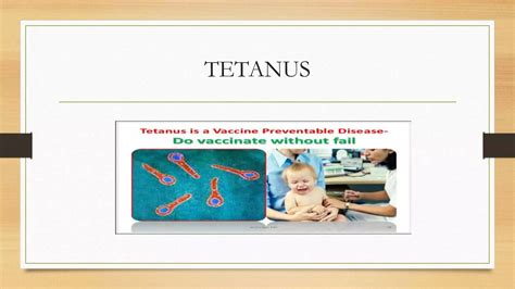 Clostridium Tetani Tetanus Causes Symptoms Diagnosis Treatment