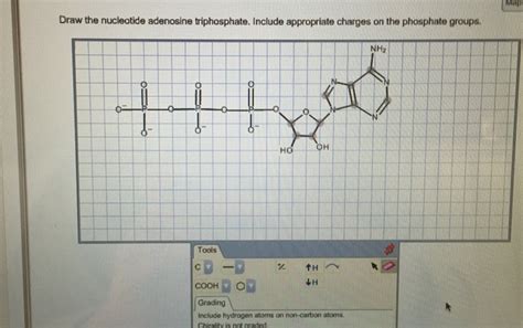 Solved Draw The Nucleotide Adenosine Triphosphate Include