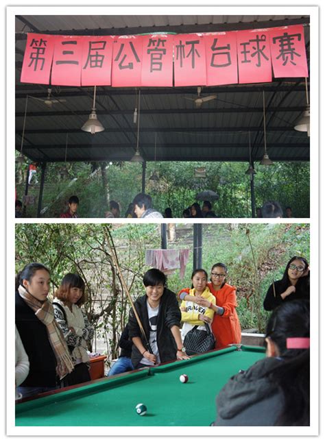 激情台球 碰撞青春 经济管理学院 激情台球 碰撞青春 经济管理学院