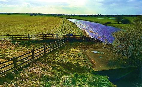 Riparian Buffer Zones Teagasc Agriculture And Food Development