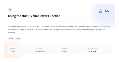 Using The Numpy Charlower Function Labex