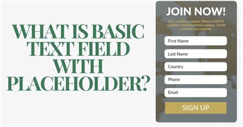 What Is A Basic Text Field With Placeholder Lipsum Hub