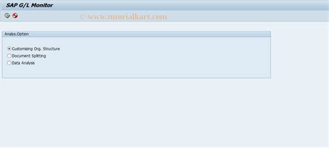 NGLM SAP Tcode Customizing And Performance Monitor