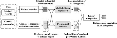 eye and contact lens