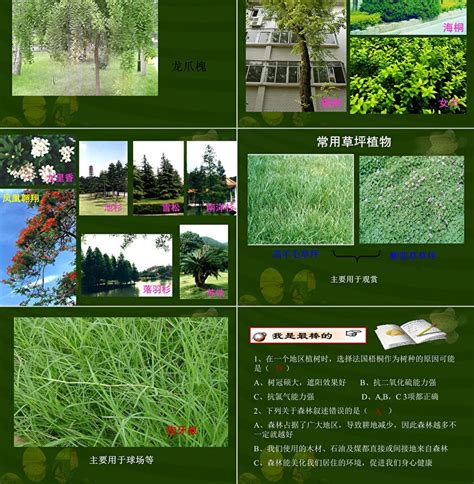 绿化我们共同的行动七年级生物课件PPT模板 卡卡办公