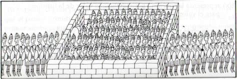 ¡conoce El Origen De La Estadística Cobadistica