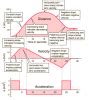 Reading Kinematics Graphs Mini Physics Free Physics Notes