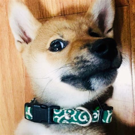 pengkun liu on medium curated some lists