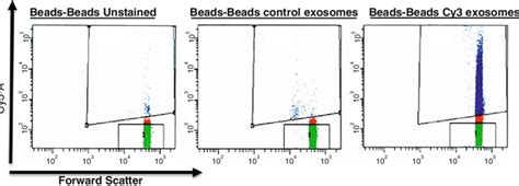 Fluorescent Activated Cell Sorting Analysis Of Targeted Human Cd34 Download Scientific