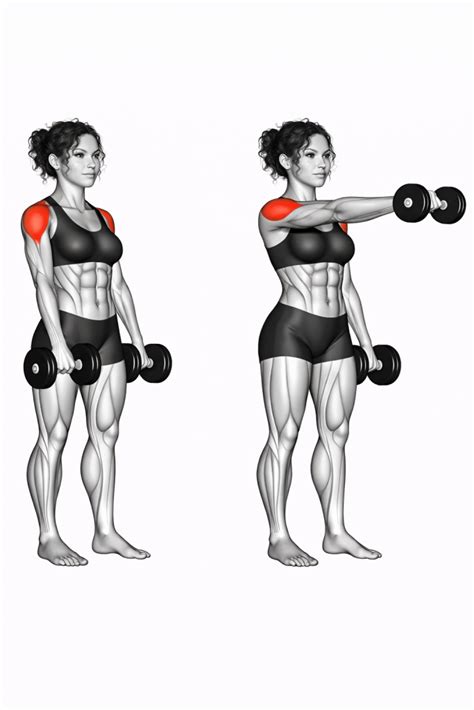 Dumbbell Alternate Front Raise Shoulder Exercise Animations