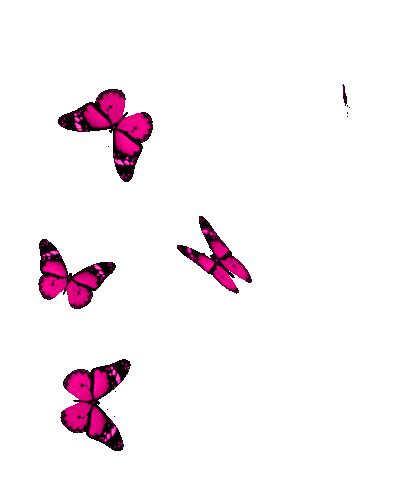 Butterfly Animated  Free Download At Anita Fortner Blog