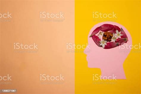 복사 공간 꽃과 호두 꽃잎 두뇌 창조적 인 예술 디자인 창조적 인 아이디어가있는 노란색 크림 배경에 분홍색 종이 머리 0명에 대한 스톡 사진 및 기타 이미지 Istock