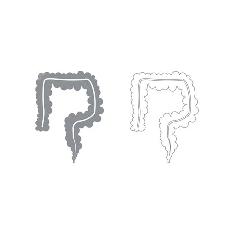 Intestine The Grey Set Icon Digestion Colon Sigmoid Vector Digestion