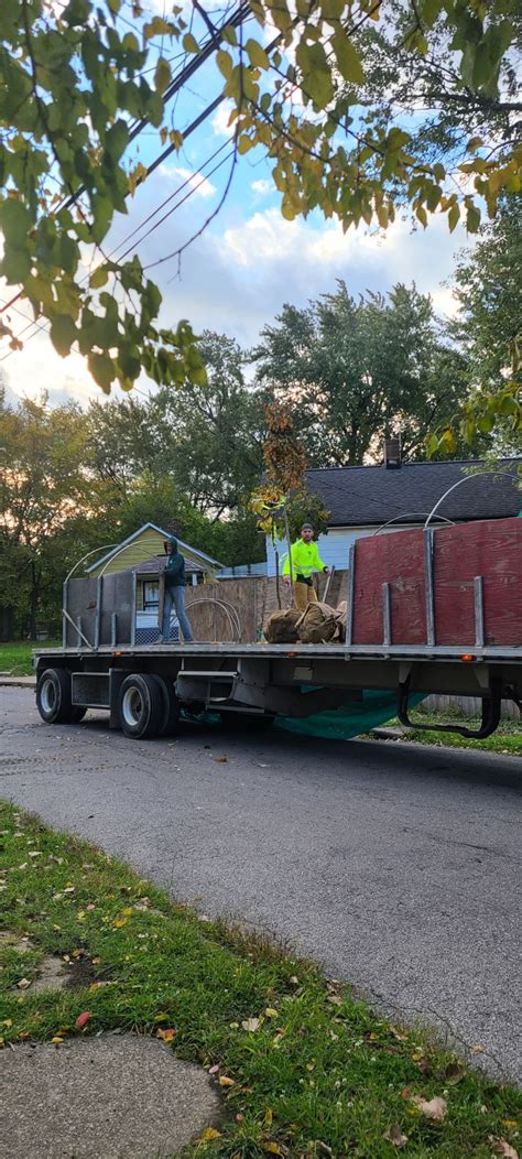 Gabriel Custodio Posted On Linkedin