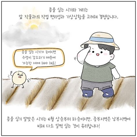 대한민국 농촌진흥청 품질 좋은 콩 농사는 철저한 준비부터 🫘 콩 심기 전 준비사항 콩 심는