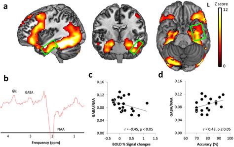 Results Of The Brain Imaging Analysis A The Fmri Bold Signal Download Scientific Diagram