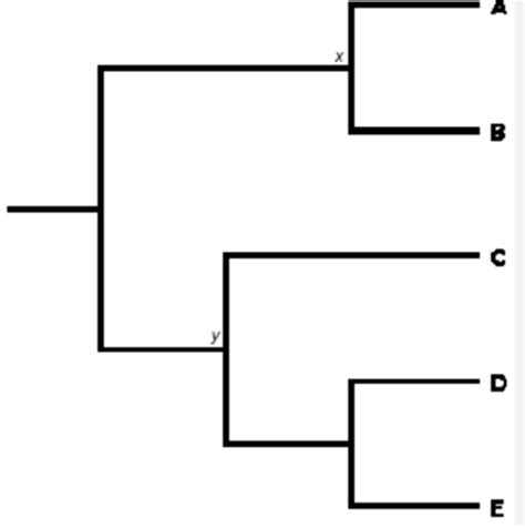 Biol 1404 Exam 2 Flashcards Quizlet