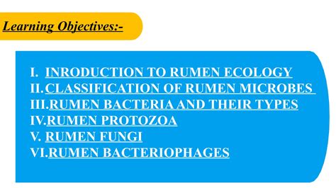 Rumen Ecosystem And Classification Of Rumen Microbespptx