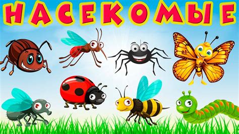 Насекомые для детей 🐝 Учим насекомых 🐞 Насекомые мультик 🐜 Насекомые звуки 🕷 Развивающие
