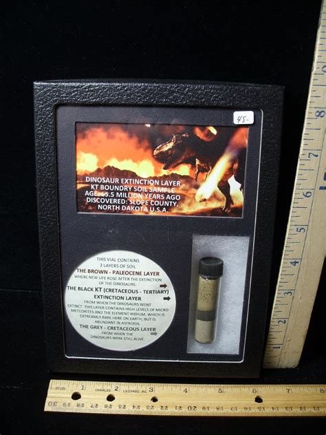 Preserved K T Boundary Layer Sample 071822d The Stones And Bones Collection