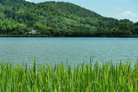 広沢池 京都フリー写真素材集京都の神社寺院観光地世界遺産の無料写真