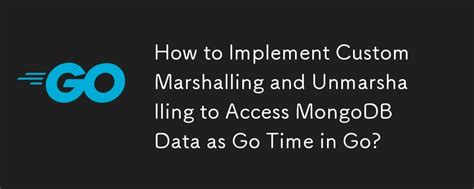 How To Implement Custom Marshalling And Unmarshalling To Access MongoDB
