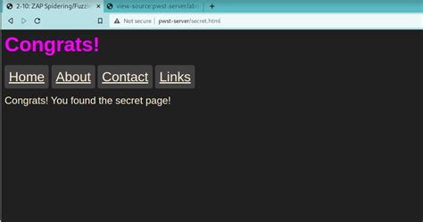 Practical Web Application Security Grey Hat Developer