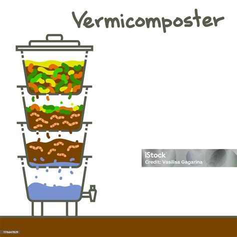 Vermicomposting 부엌에서 유기 성 폐기물을 처리 하는 줄무늬 벌레 선택적 접근 생태학적 접근 방식 폐기물 제로 유기