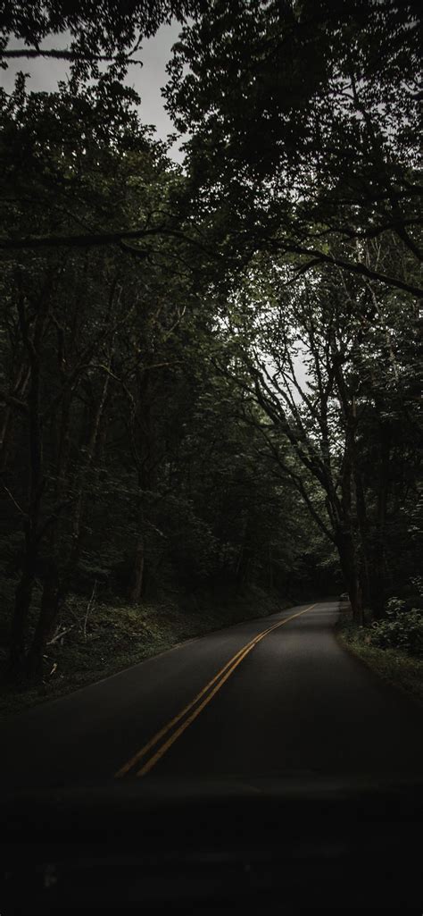 828x1792 Wallpaper - 482