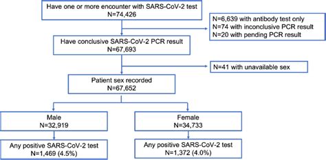 Flow Diagram Of Participant Inclusion Download Scientific Diagram