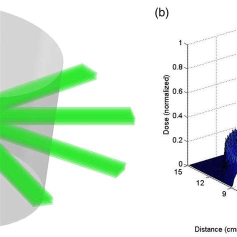 Illustration Of Overlapping Concept A Multiple Mrt Microbeam Arrays Download Scientific