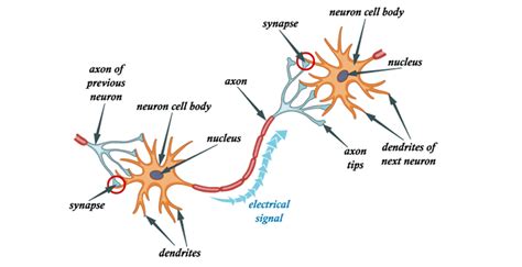 Neural Ode Notes