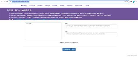 在线sha256加密工具 在线获取哈希值又称摘要 Csdn博客