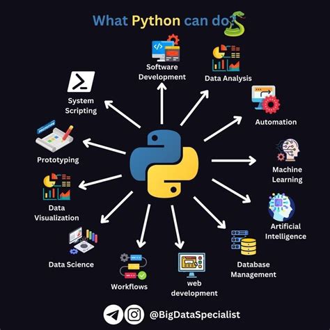 Why Python Is Perfect For Beginners 🐍 Basic Computer Programming