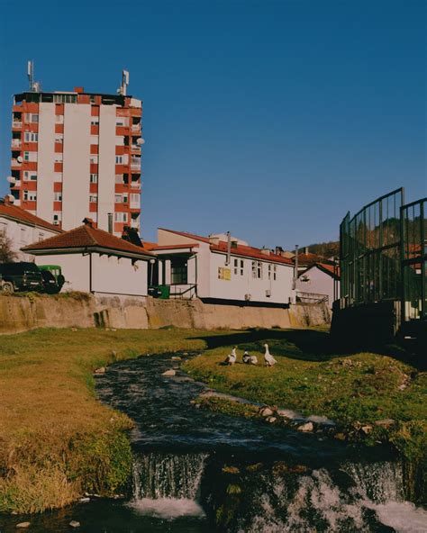 Содржини од Крива Паланка 🇲🇰 🎶 Бато Црно и бело Месечина Калиопи на Joyfestmk •