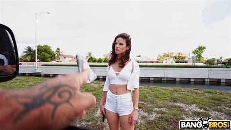 Sunshine Tampa Bangbus