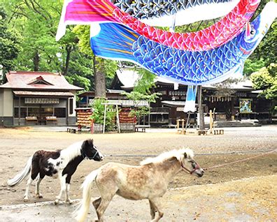 相模國一國一社平塚八幡宮神奈川県湘南平塚市の神社