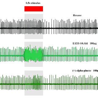 Olfactory Receptor Neurons ORN Responses To Female Sex Pheromones And Download Scientific