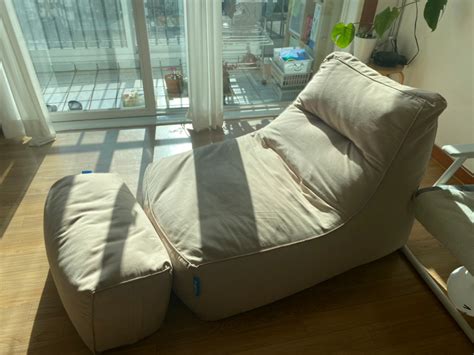 폴리몰리 빈백 당근 중고거래