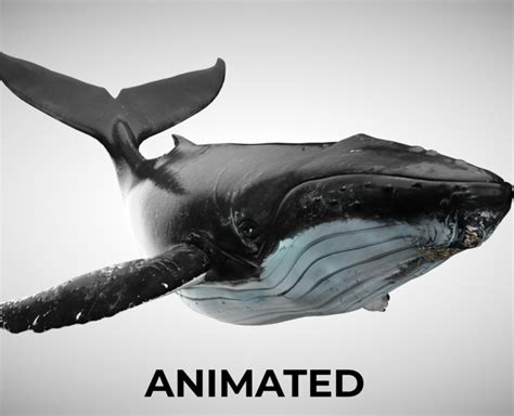 humpback whale unreal unity flippednormals