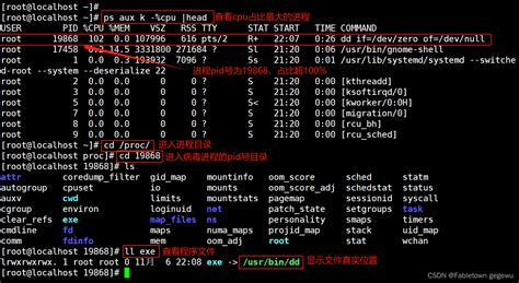 linux进程和计划任务 csdn博客