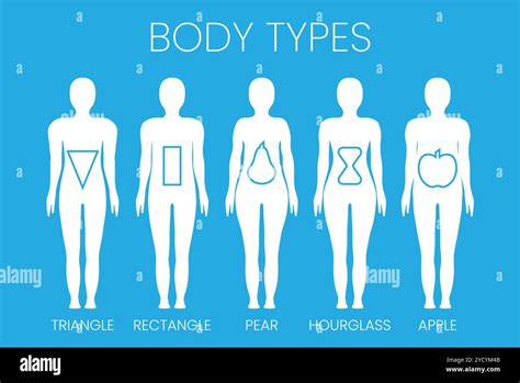 Gender Neutral Body Shape Types Triangle Rectangle Apple Pear And