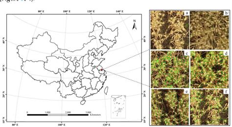 Figure 1 From A Wheat Spike Detection Method In Uav Images Based On Improved Yolov5 Semantic