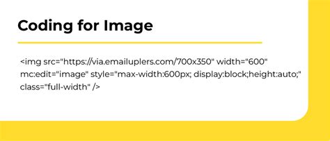 A Developers Guide To Coding Custom Email Templates In Mailchimp