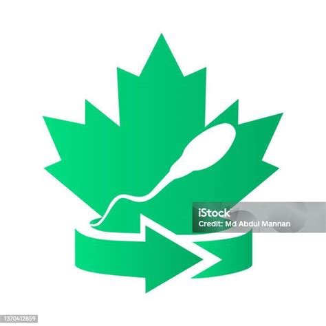 메이플 정자 셀 로고 디자인 캐나다 정자 셀 로고 정자 세포 벡터와 빨간 단풍 잎 붉은 단풍 나무에 대한 스톡 벡터 아트 및 기타 이미지 붉은 단풍 나무 가을 건강
