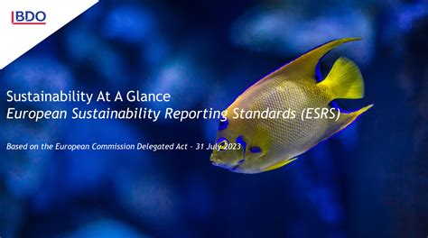 Sustainability At A Glance European Sustainability Reporting Standards Esrs Bdo