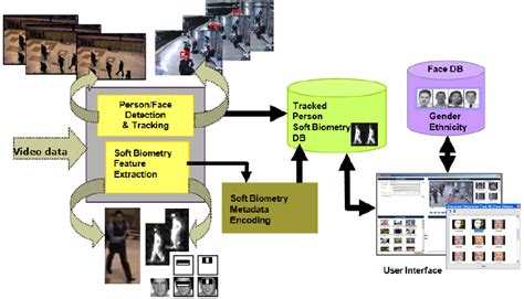 High Level Diagram For The Proposed Video Soft Biometric Feature Download Scientific Diagram