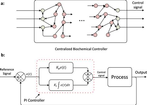 A Centralized Biochemical Controller B Feedback Structure With Download Scientific Diagram