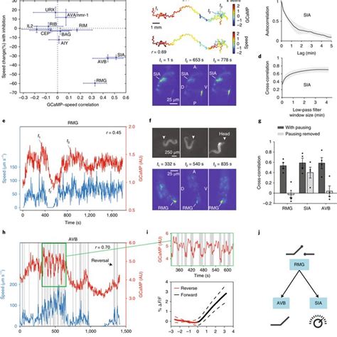 Compressed Sensing Framework Enables Identification Of Essential